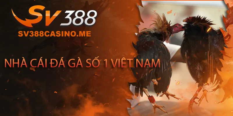 SV388 - Link vào trang chủ đá gà SV388 chính thức 2025 ️
